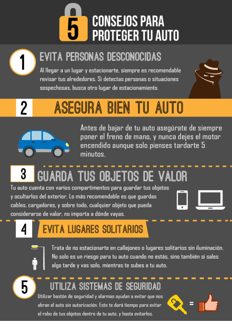5 Consejos Para Proteger Tu Auto Y Prevenir Robos Roca News